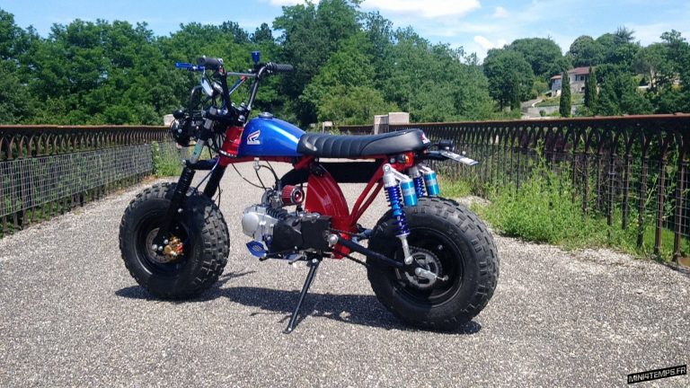 Le Skyteam T-Rex de Gaël - Mini4Temps.fr, le site des passionnés de ...